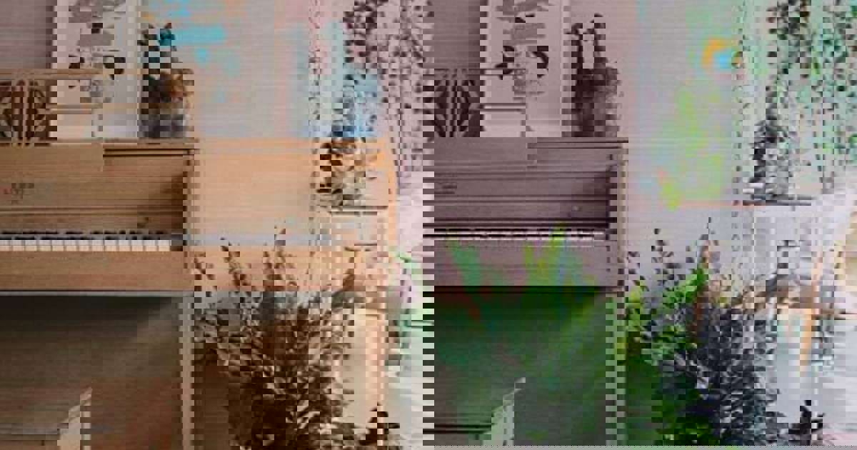 How to safely store a piano in a self storage unit | Storage King